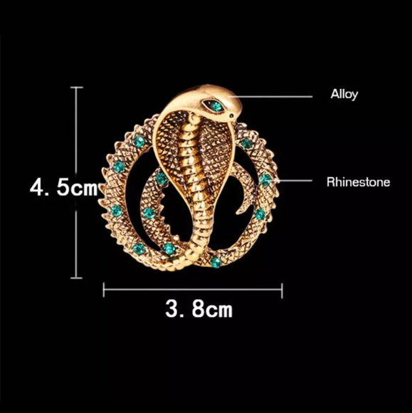 Jewelry | Vintage Snake Brooch | Poshmark